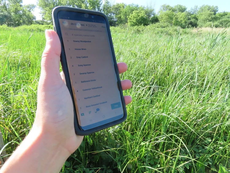 A Beginner’s Guide to eBird Mobile — Southern Wisconsin Bird Alliance