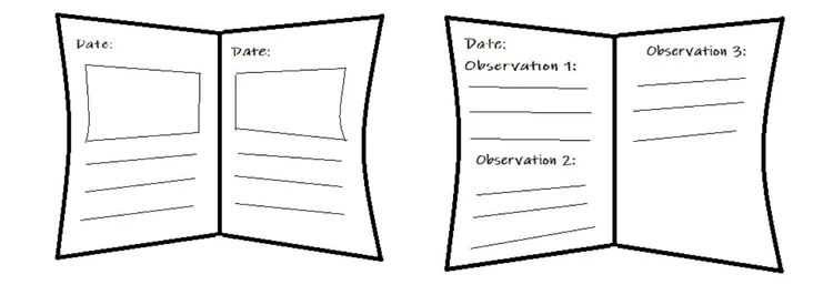 Teaching Outside: Outdoor Routines — Southern Wisconsin Bird Alliance