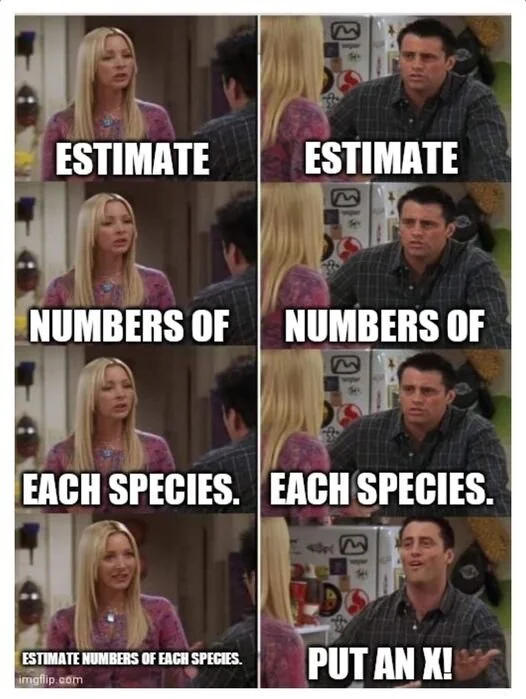 How to Count Birds — Southern Wisconsin Bird Alliance