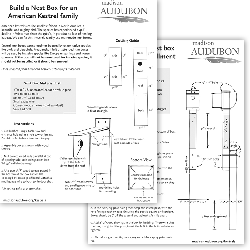 Kestrel Nest Box Monitoring Program — Southern Wisconsin Bird Alliance