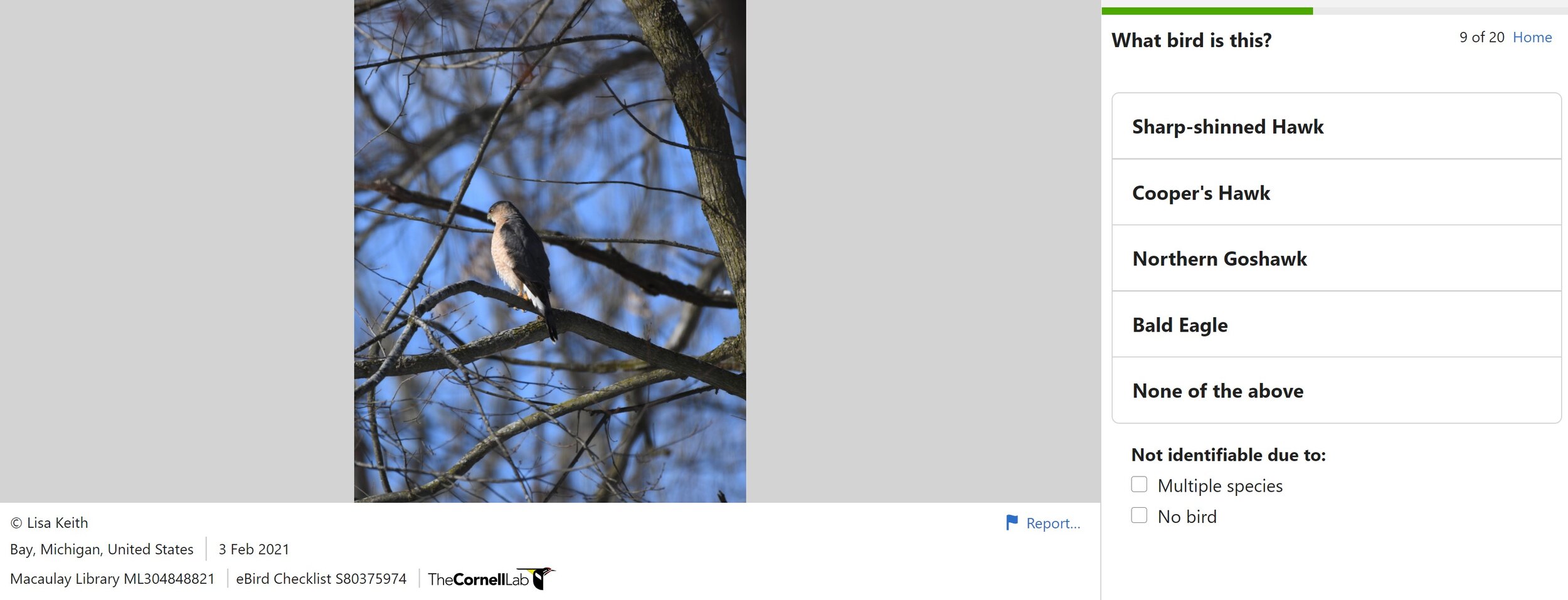 A Birder's Online Toolbox — Southern Wisconsin Bird Alliance