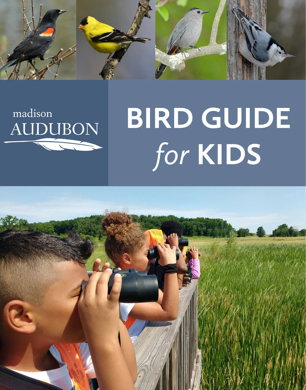 Free Field Guides & Exploration Resources — Southern Wisconsin Bird ...