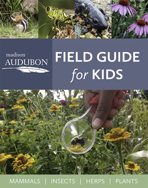 Free Field Guides & Exploration Resources — Southern Wisconsin Bird ...