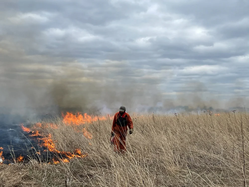Fire Science and the Art of the Burn — Southern Wisconsin Bird Alliance