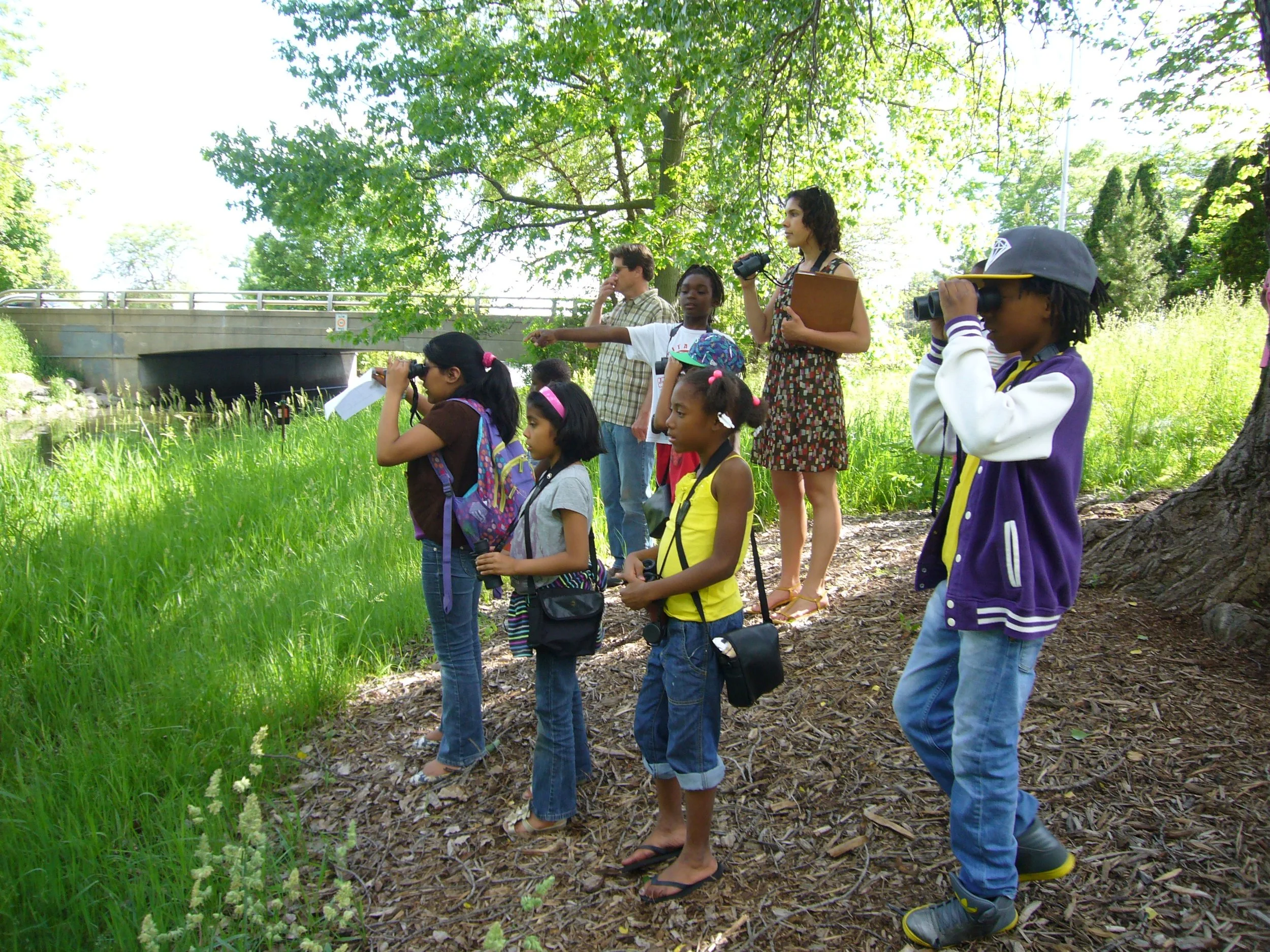 Field Trip for Kids: Bird Hike for Kids — Southern Wisconsin Bird Alliance