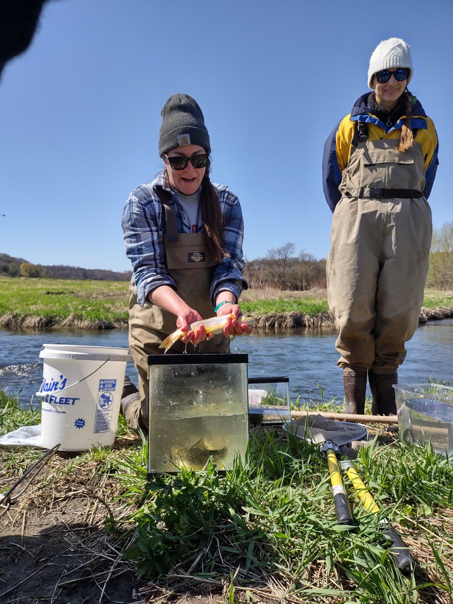 The best day of the Year — Southern Wisconsin Bird Alliance
