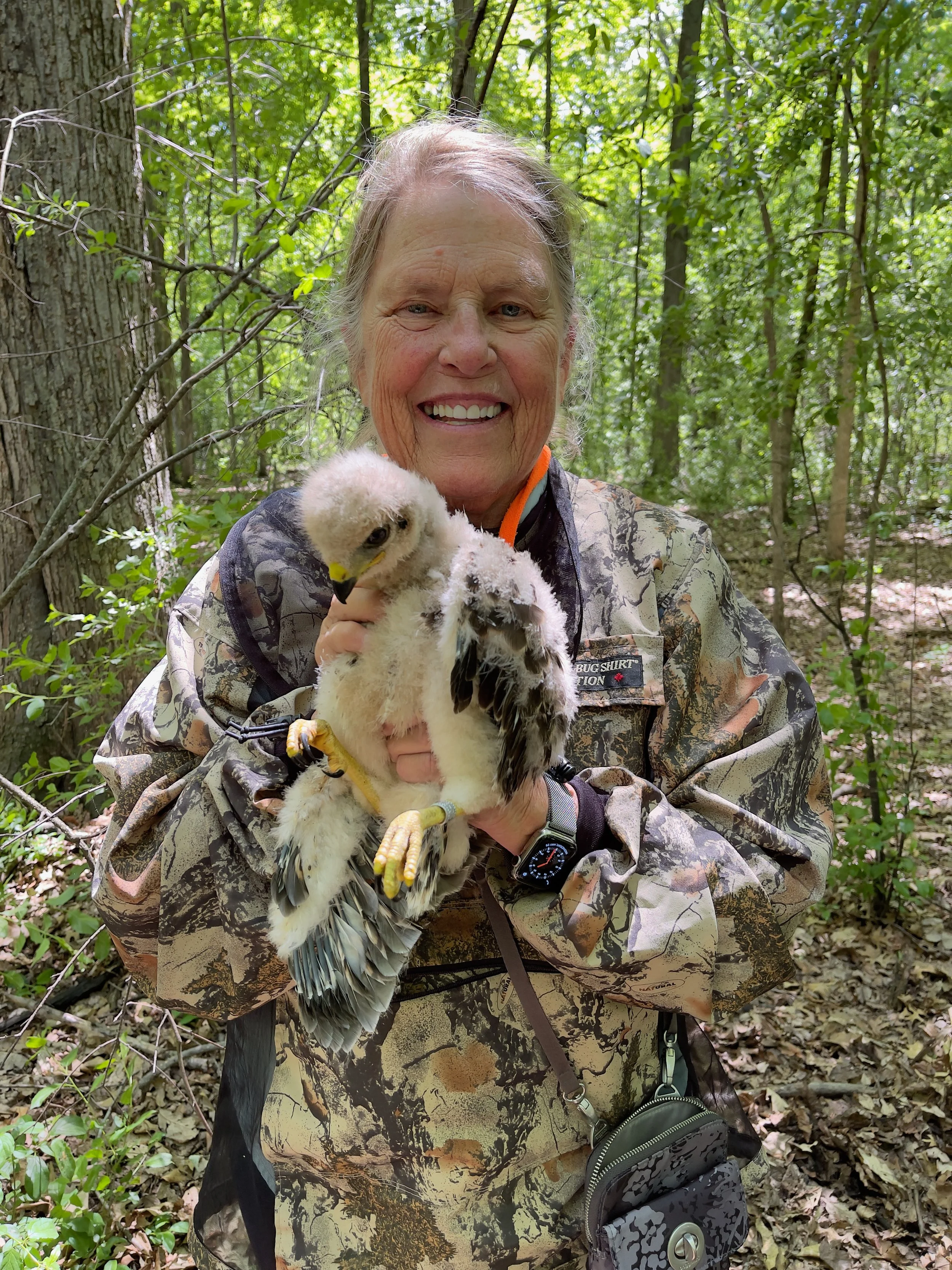 Raptors with Transmitters — Southern Wisconsin Bird Alliance