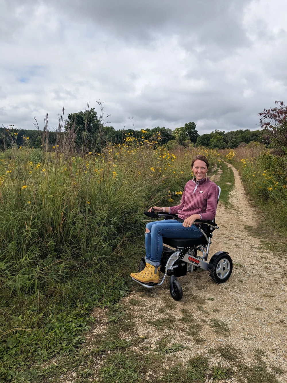 Birding for all bodies: Announcing our new electric-powered wheelchair ...