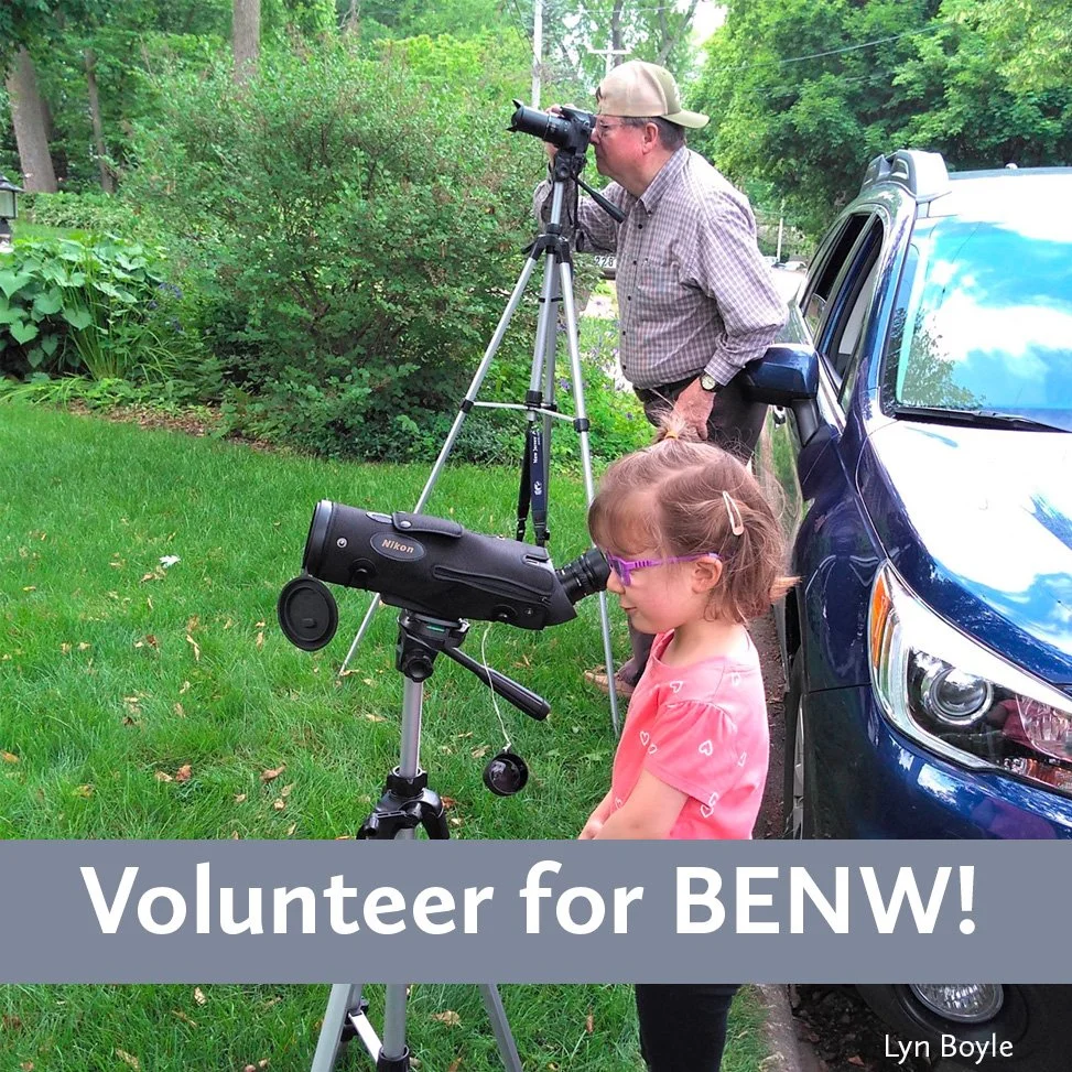 Bald Eagle Nest Watch — Southern Wisconsin Bird Alliance