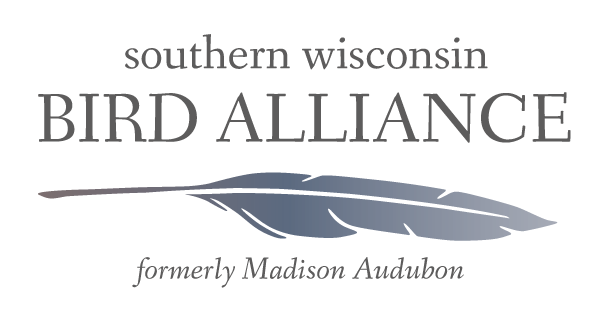 Bird Collision Corps — Southern Wisconsin Bird Alliance
