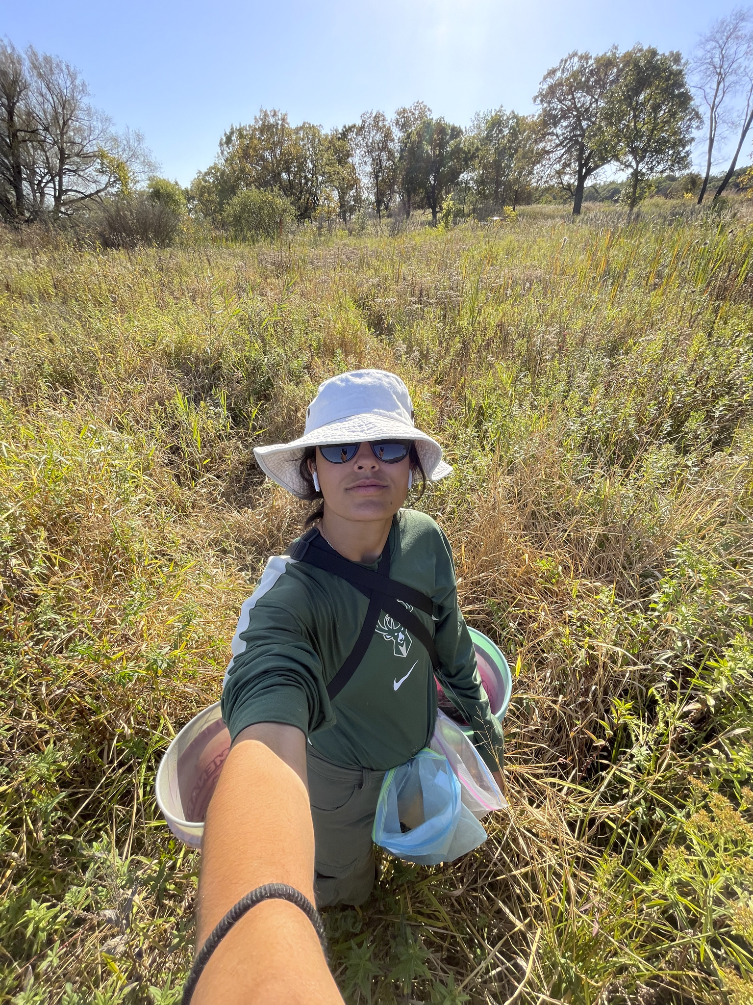 Beyond the Feather: Soraya Castle — Southern Wisconsin Bird Alliance