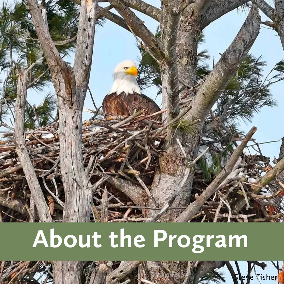 Bald Eagle Nest Watch — Southern Wisconsin Bird Alliance