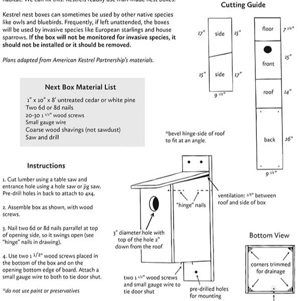 Kestrel Nest Box Monitoring & Banding Program — Southern Wisconsin Bird ...
