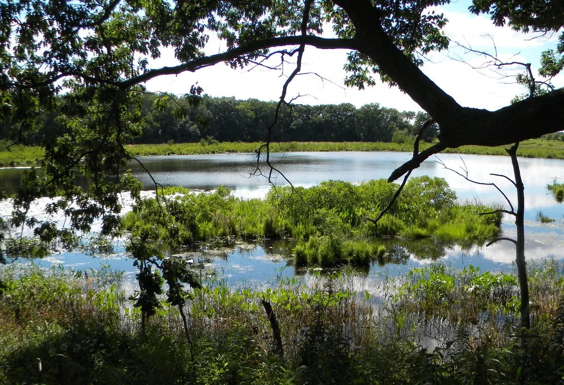 Endangered but they don't have to stay that way — Southern Wisconsin ...