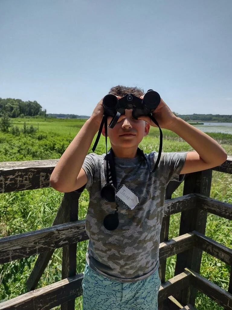 Bird Lessons and Activities — Southern Wisconsin Bird Alliance