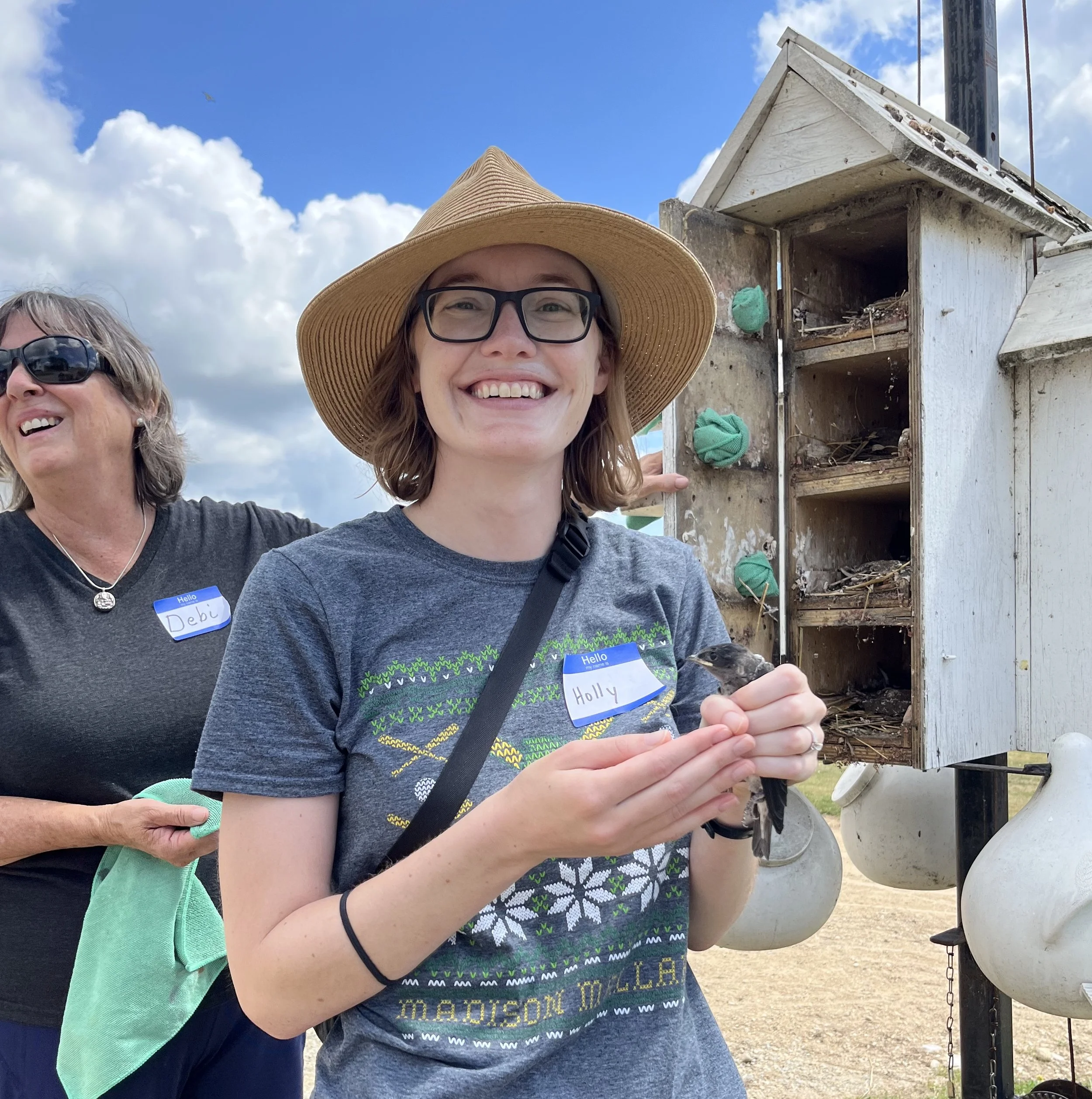 Purple Martin Banding — Southern Wisconsin Bird Alliance