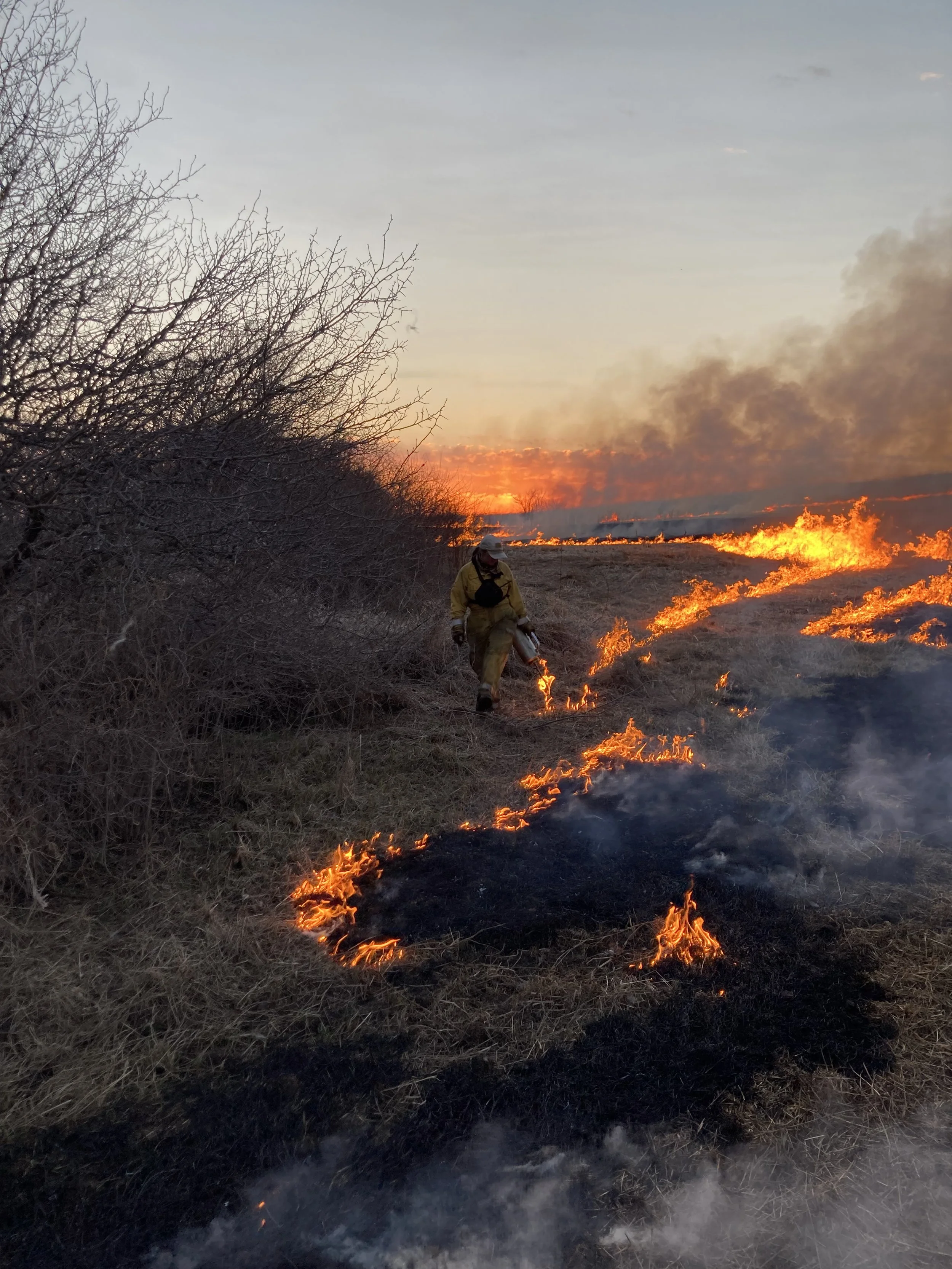 Beyond the Feather: Emma Raasch — Southern Wisconsin Bird Alliance