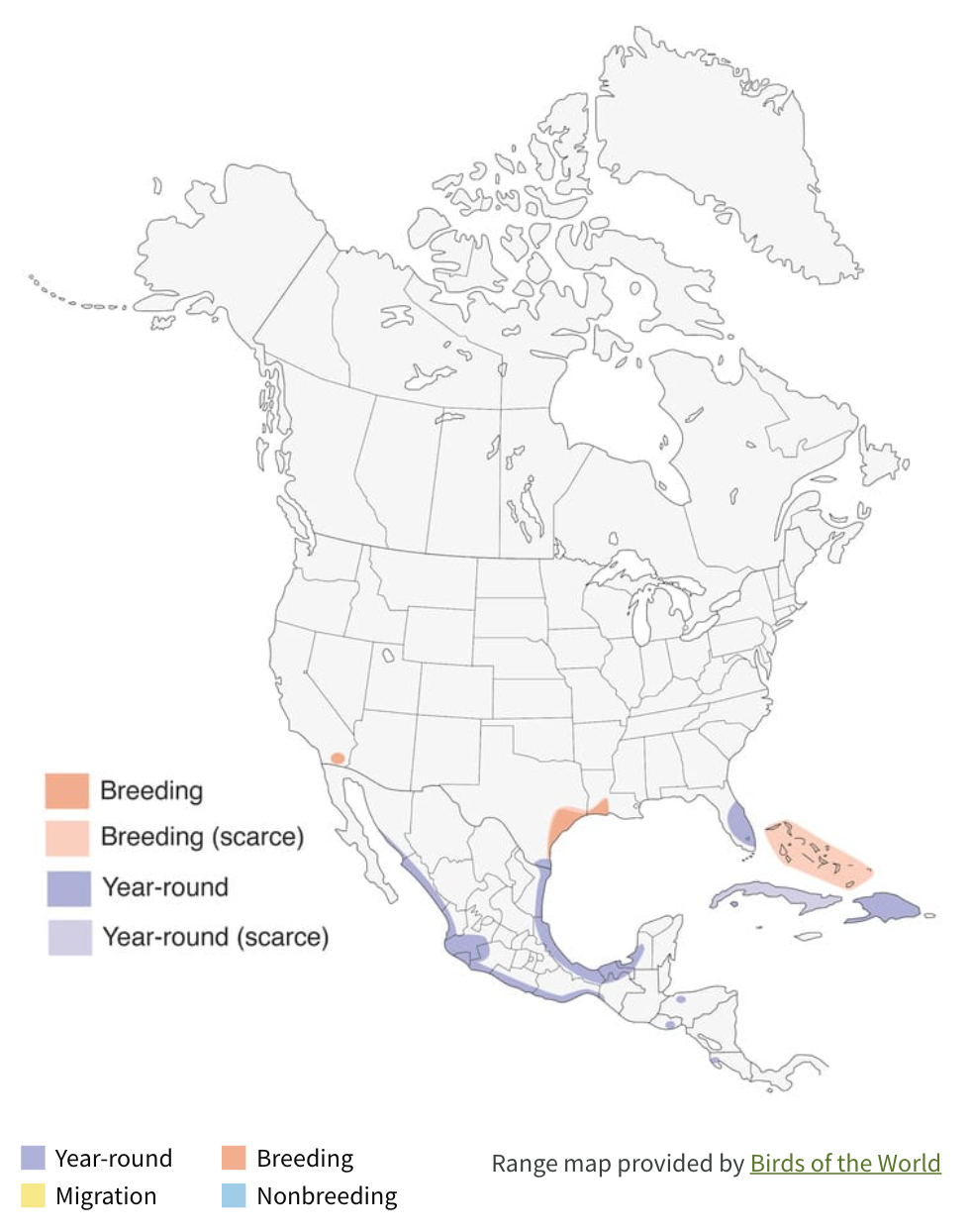 Fulvous & Black-bellied Whistling-Ducks — Southern Wisconsin Bird Alliance