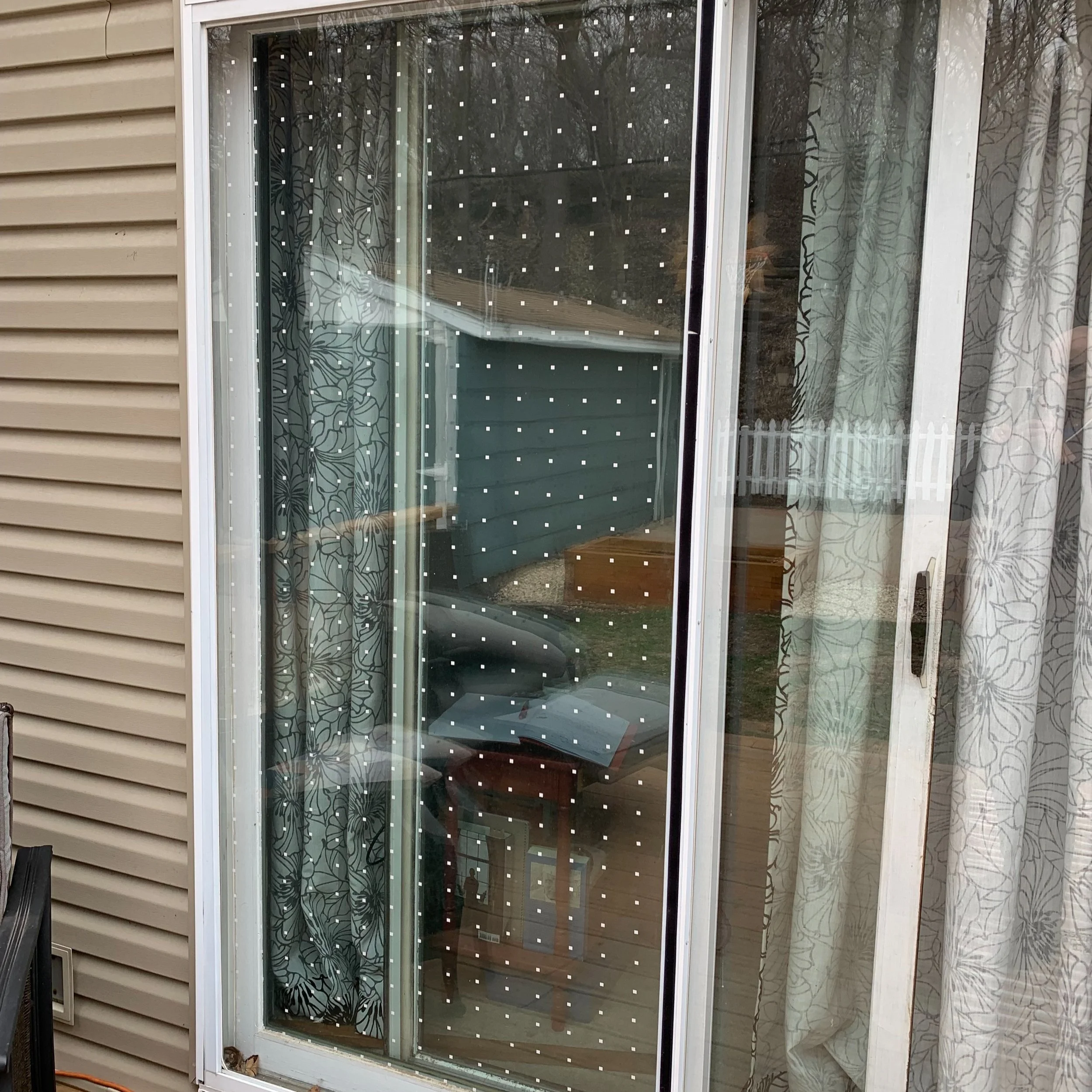 Prevent Birds from Hitting Your Windows — Southern Wisconsin Bird Alliance