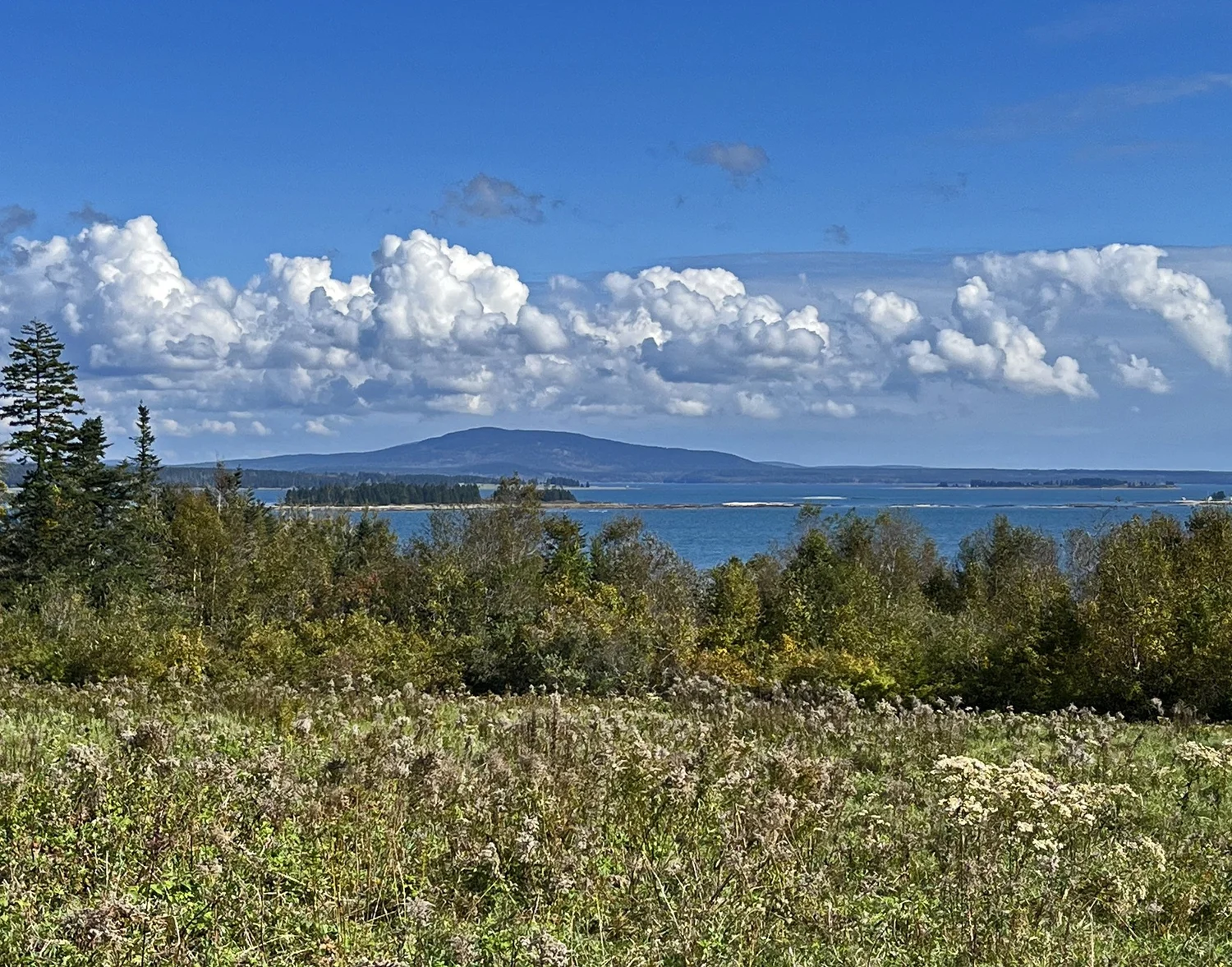 October Postcards From Down East Maine — IN THE RIGHT PLACE