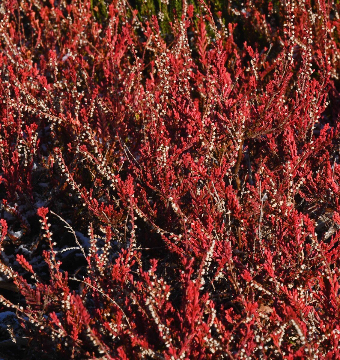 Journal — 5 Back Road۞ Photography