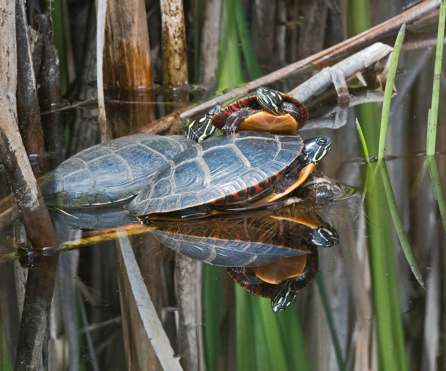 Journal — 5 Back Road۞ Photography