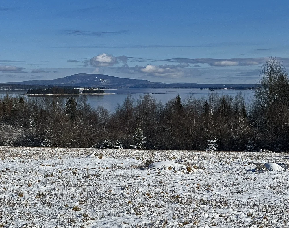 January Postcards From Maine — IN THE RIGHT PLACE