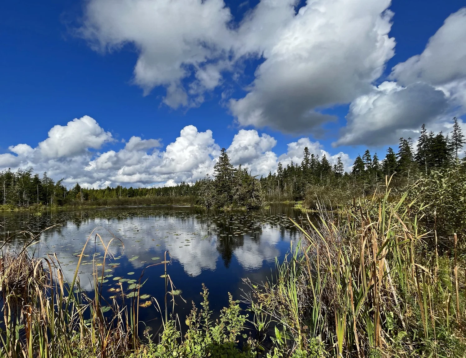 October Postcards From Down East Maine — IN THE RIGHT PLACE