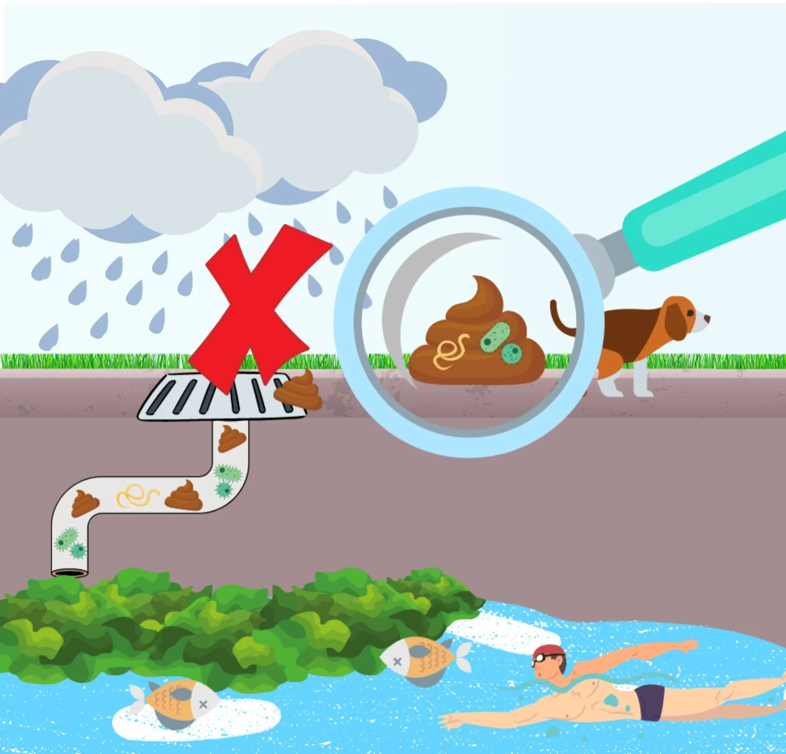 Pet Waste Respect Our Waters