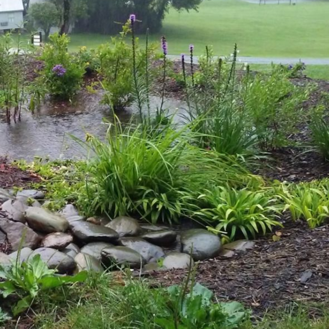 waterproof/impervious surfaces — Respect Our Waters