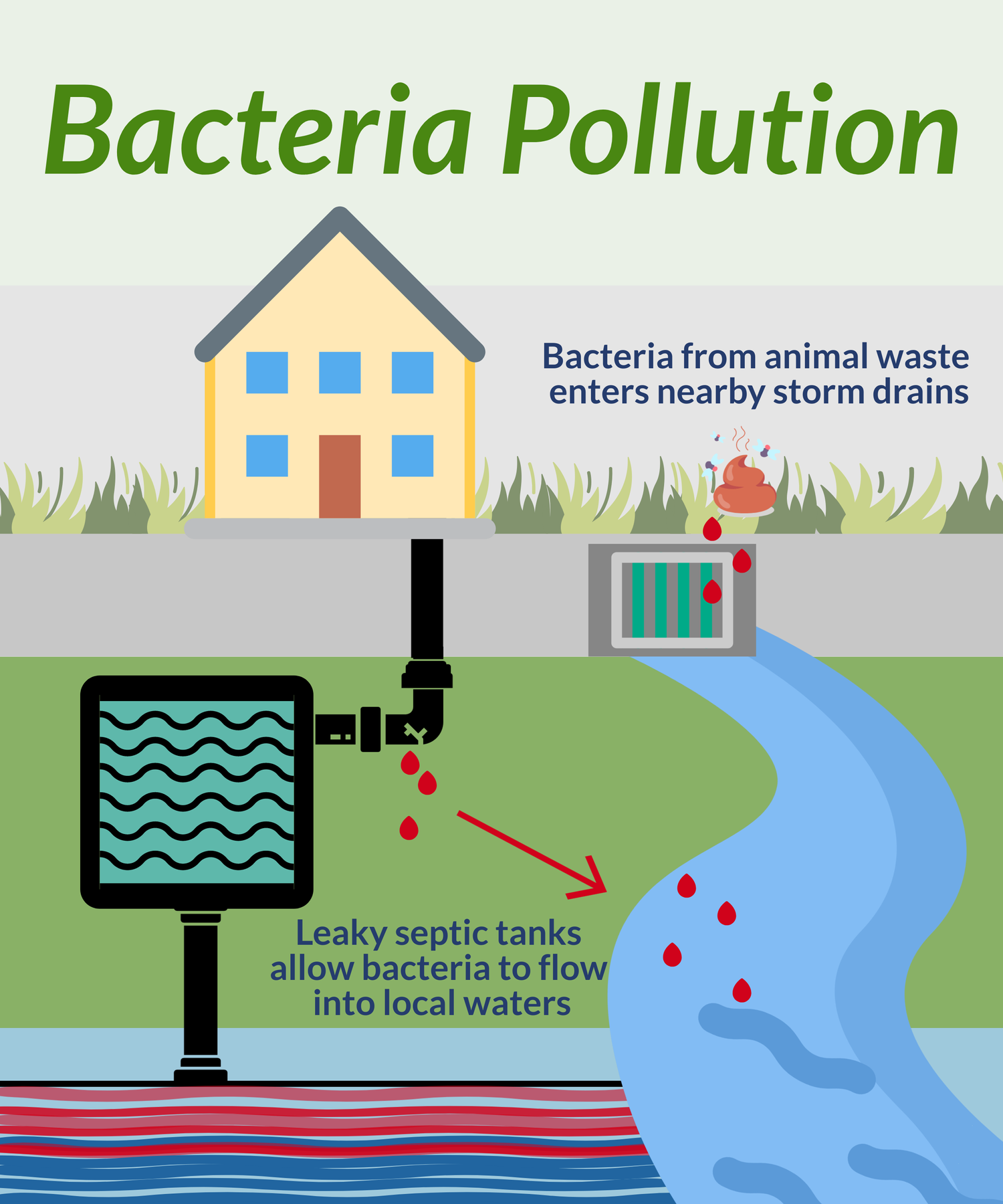 Bacteria from Illicit Discharges — Respect Our Waters