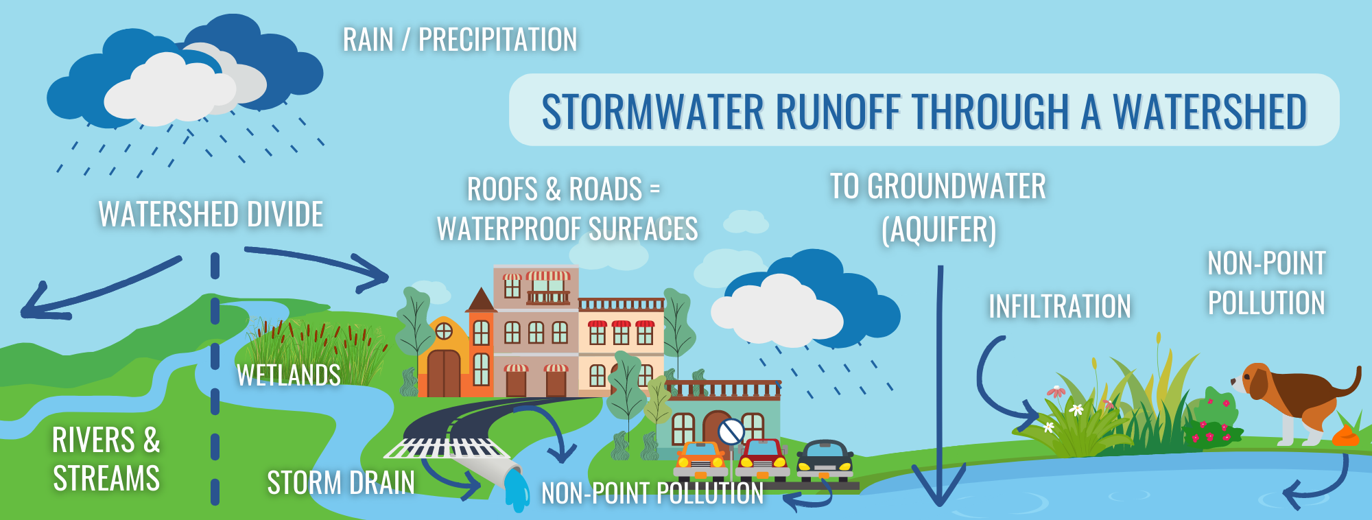 How Do Watersheds Become Polluted