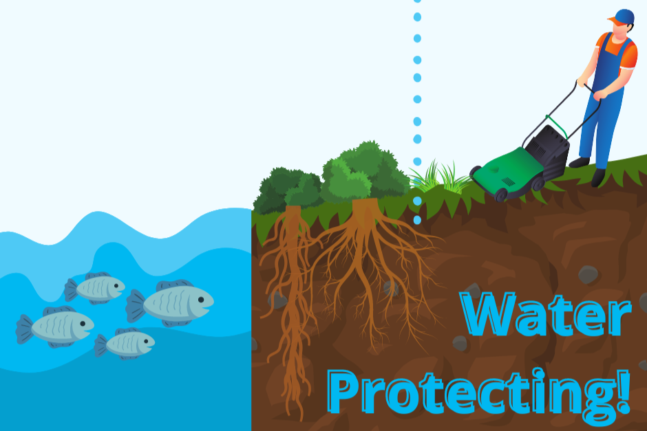 Shoreline Landscaping — Respect Our Waters