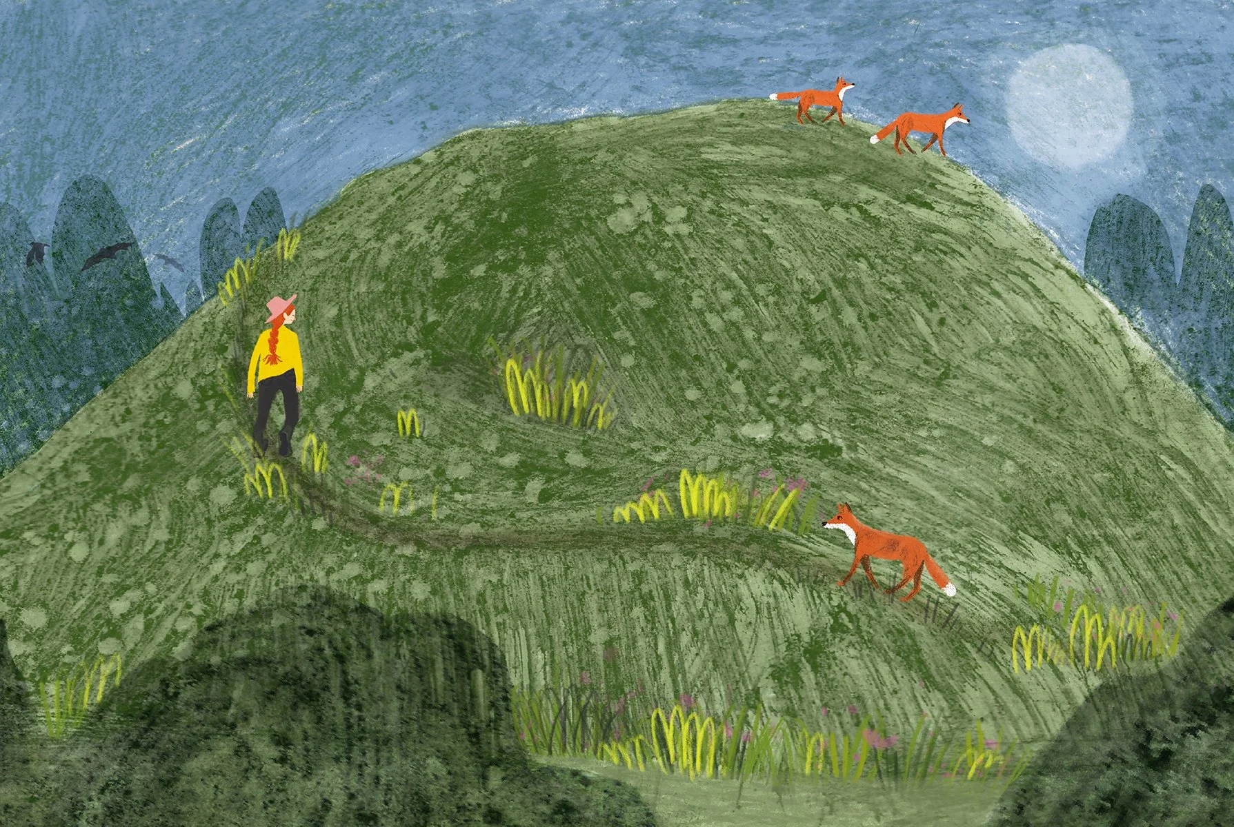 Heidi Burton Illustration