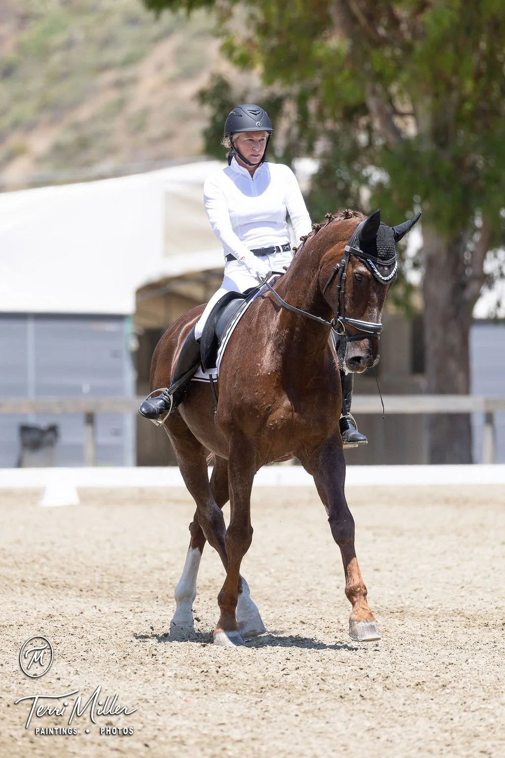 Boarding Facility & Training Gallery — Winterbrook Ranch