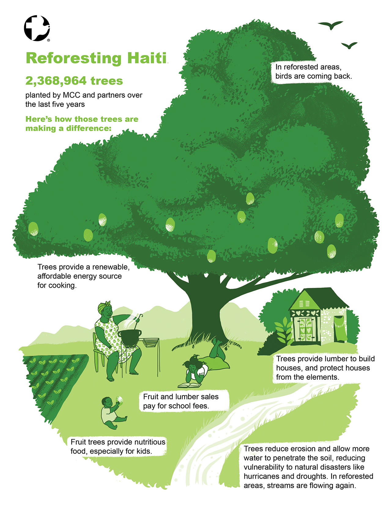 Infographic: Reforesting Haiti — MCC Haiti