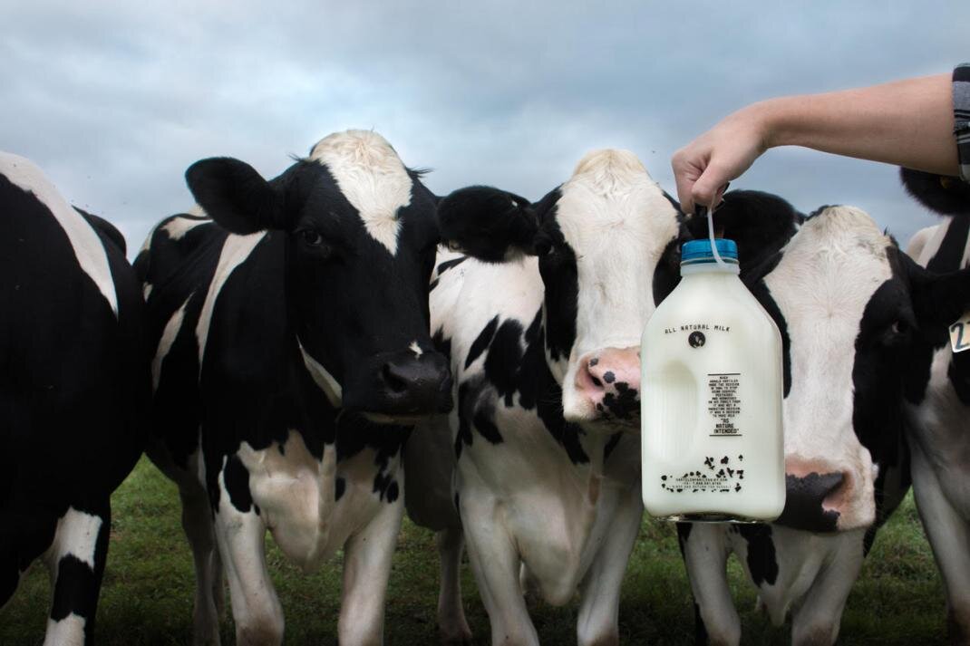 Farms — Oberlin Food Hub