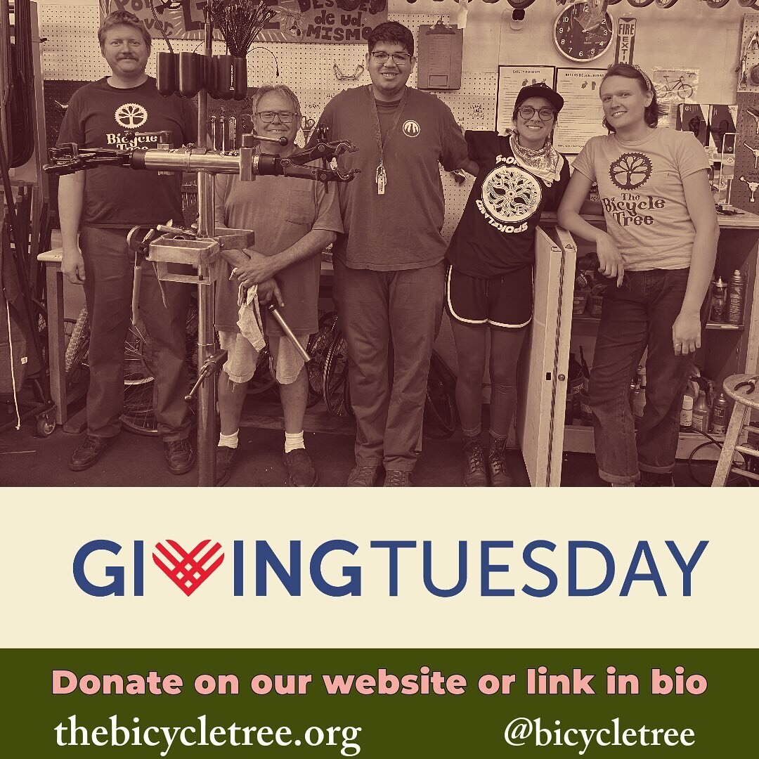 visit our shop — The Bicycle Tree