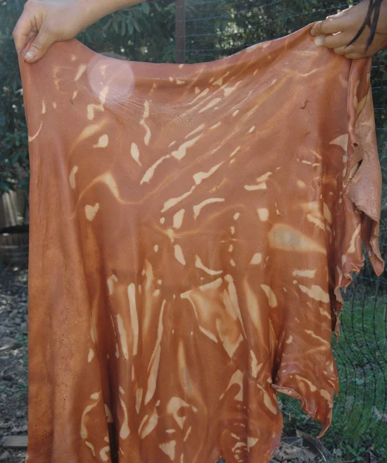 The Most Common Bark Tanning Mistakes: Pitfalls to avoid on your way to ...