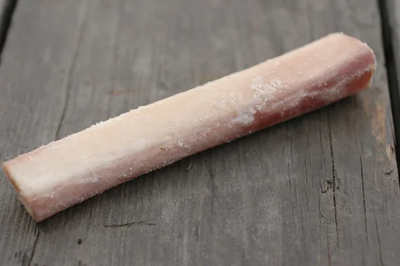 Seasoning Bones: How to avoid cracking in drying bones — SkillCult