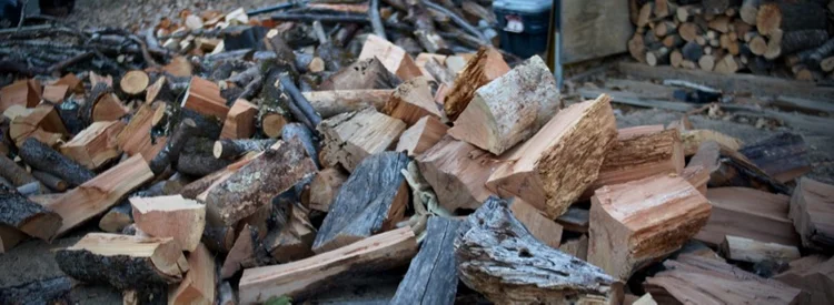 Wood Splitting Series: Part 1, Introduction — SkillCult