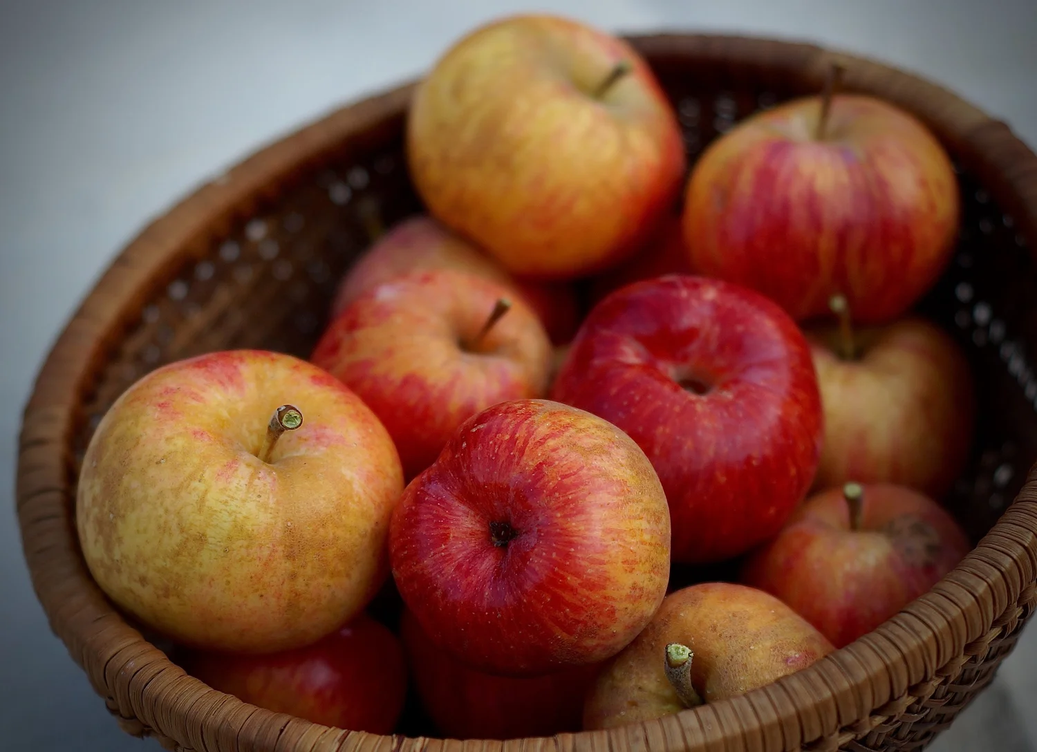 Apple Breeding, Promising Lines and Possibilities, What I'm Crossing ...
