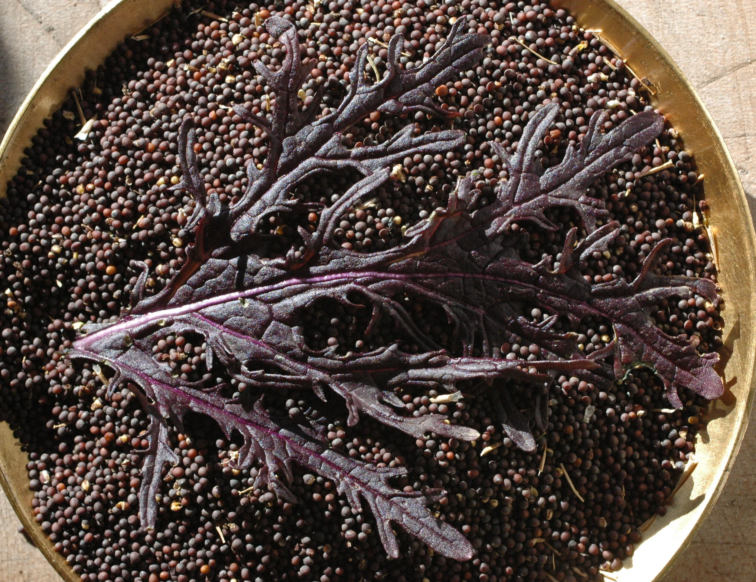 Ruby Streaks Mustard Greens Recipe at Willie Mixon blog