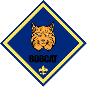 Programs — PACK 113