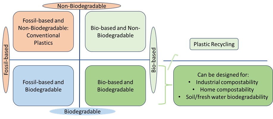 Bio Based Plastics, Degradation, Biodegradation and Compostability