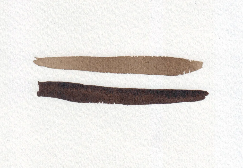 Walnut Drawing Ink