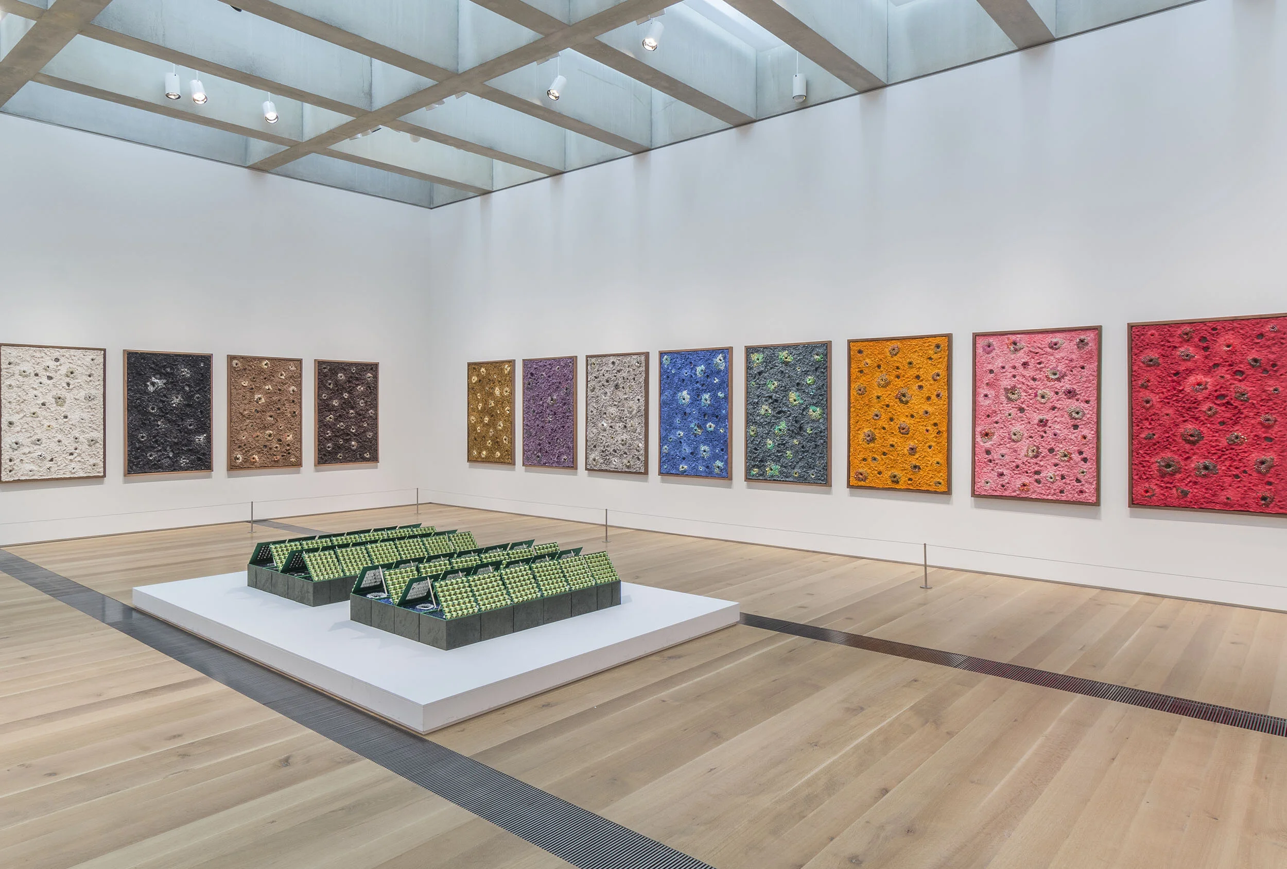 Exhibitions — Steven and William Ladd