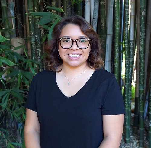 Our Team — Level Up Solutions