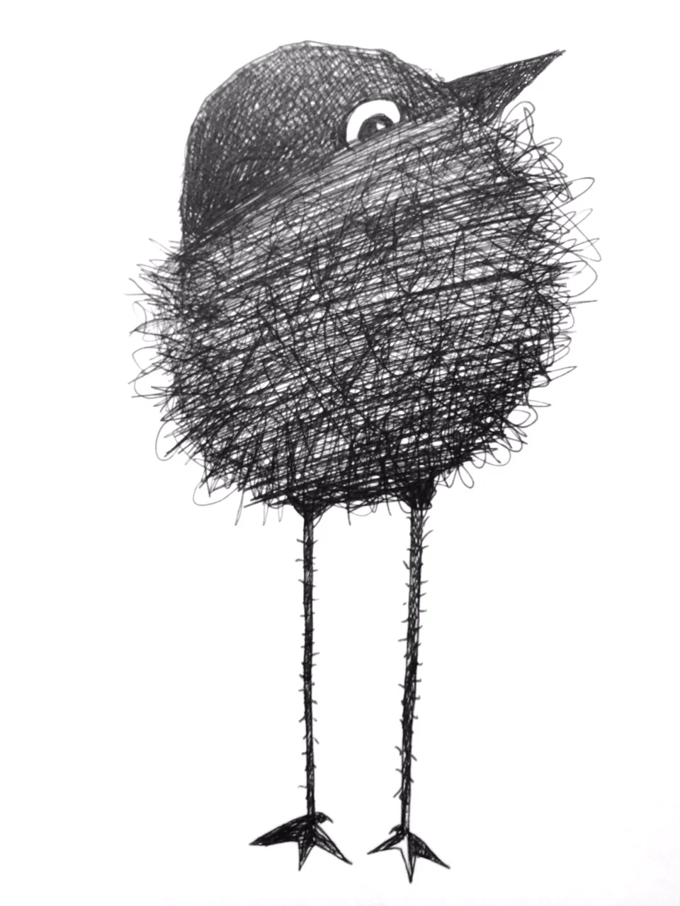 Gallery — Spontoonist