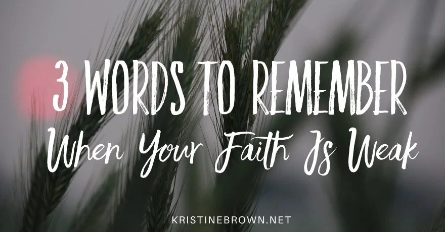 3 Words for When Your Faith Is Weak — Kristine Brown, Author